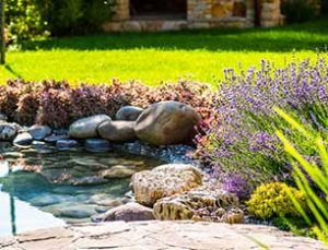 Solomon Colors Dry Integral Color - Concrete Solutions